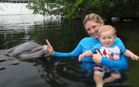 Florida Keys Swim with Dolphins 305-501-4898